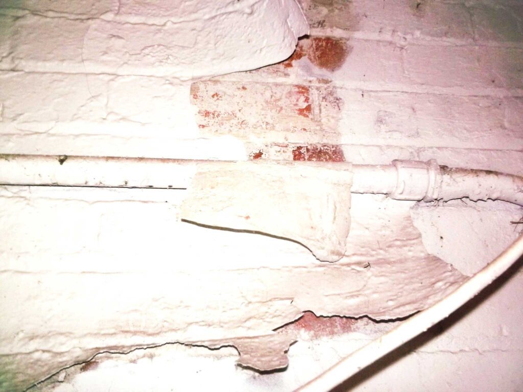 Lead Paint Inspection, Sampling & Risk Assessment